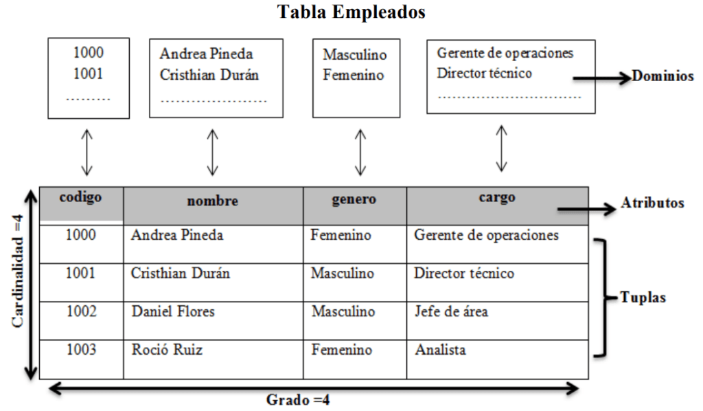 02 Elementos De Una Base De Datos Relacional Base De Datos El Profe 5173